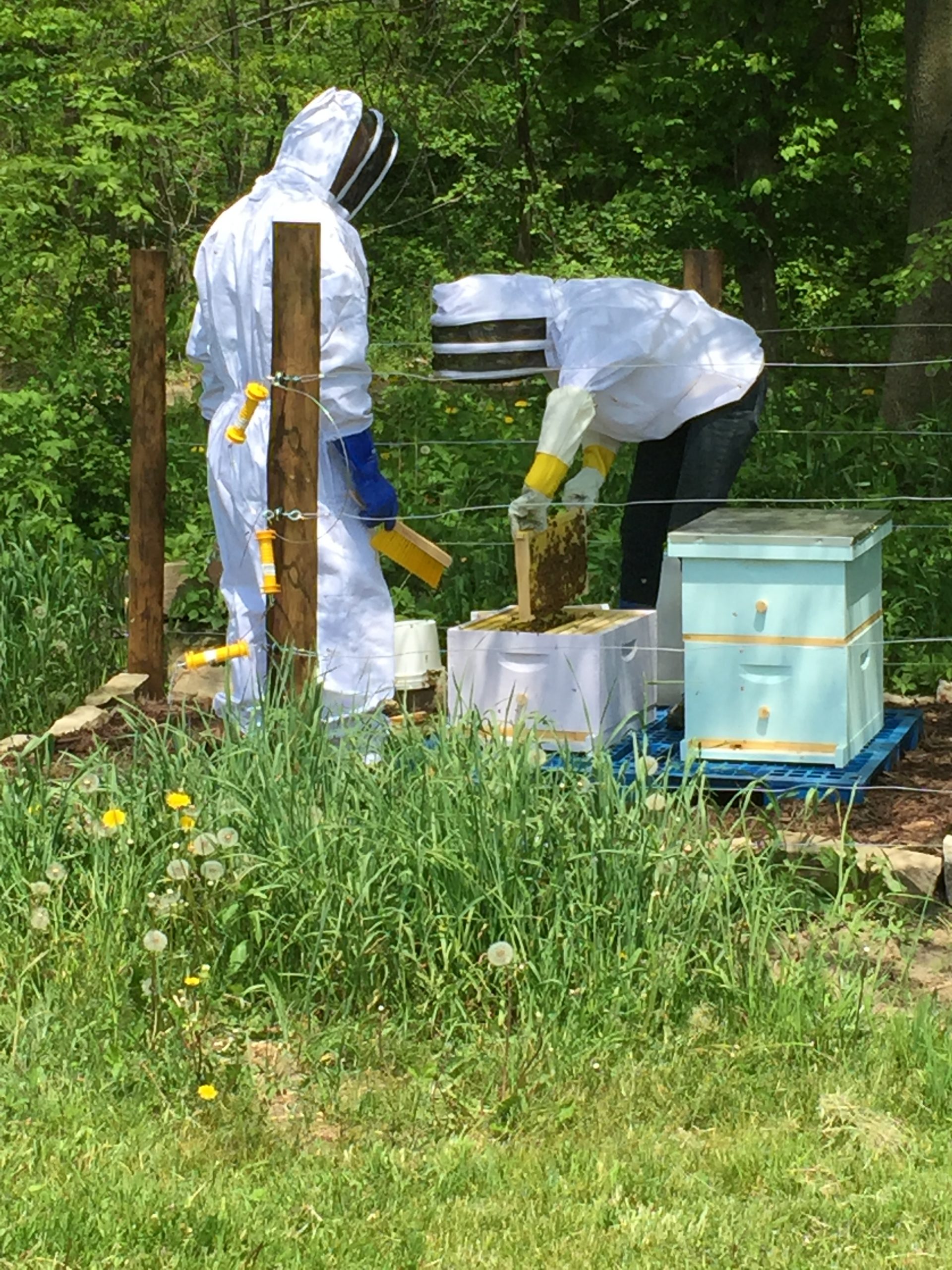 Welcome Ada Inman, EPIC-N’s new Program Support Coordinator – EPIC-N