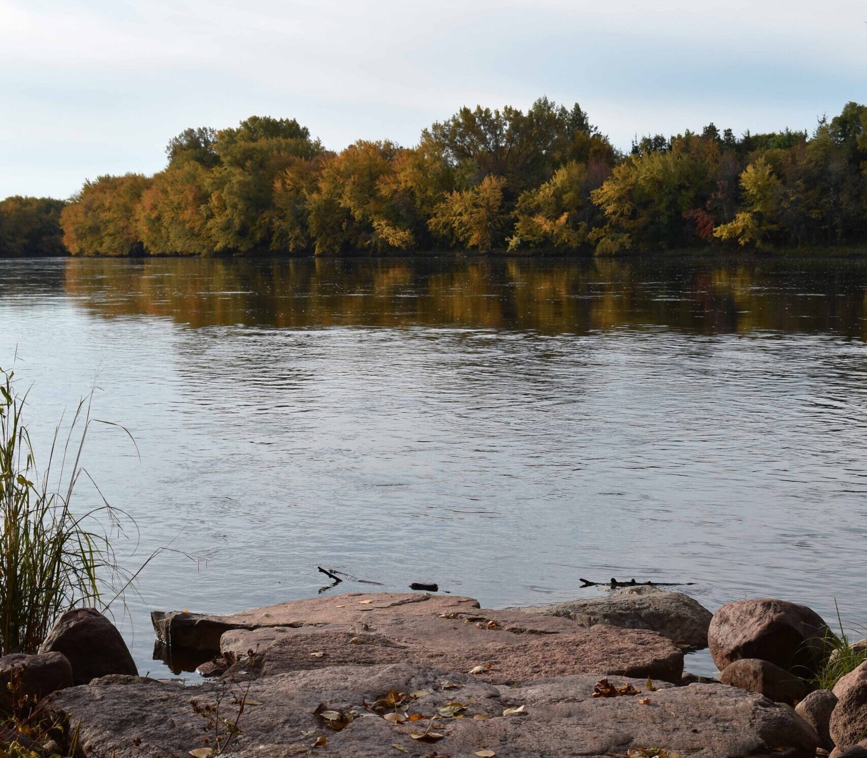 Kurtis Ulrich partnered with University of Minnesota’s EPIC-N program ...