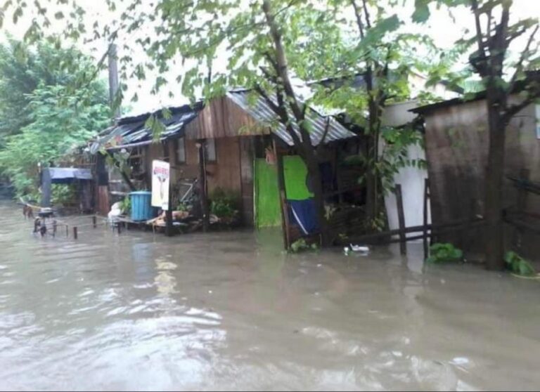 Enhancing Disaster Preparedness of Lakeshore Communities in Calamba ...